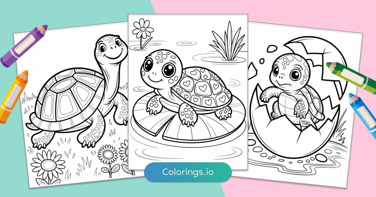 Free Turtle Coloring Pages (PDF Printables) | Colorings